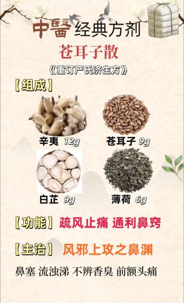 苍耳子散治鼻炎有效吗_苍耳子散副作用有哪些-第1张图片-山城妙识