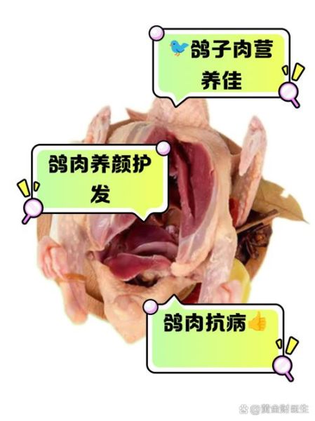 乳鸽的营养价值_乳鸽适合什么人吃-第2张图片-山城妙识