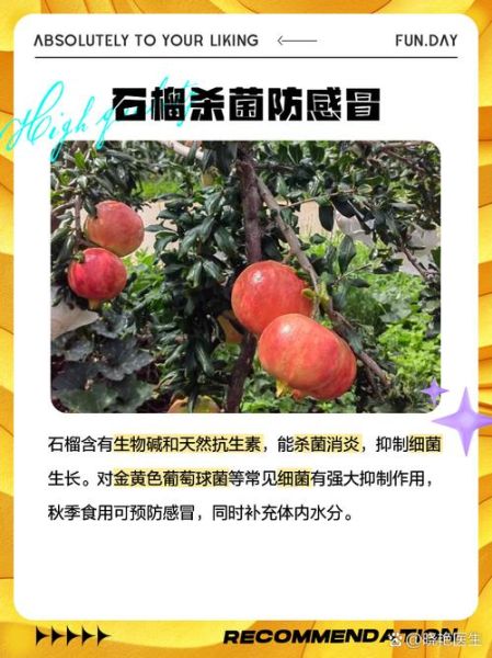 吃石榴有什么好处_石榴的功效与作用-第3张图片-山城妙识