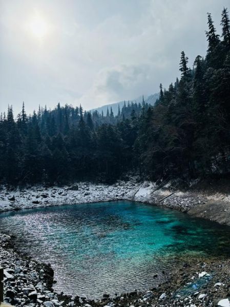 竹菌菇怎么做好吃_竹菌菇营养价值有哪些-第1张图片-山城妙识 竹菌菇怎么做好吃_竹菌菇营养价值有哪些-第1张图片-山城妙识