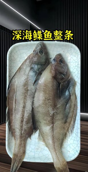 吃鲽鱼有什么禁忌_孕妇能吃鲽鱼吗-第2张图片-山城妙识