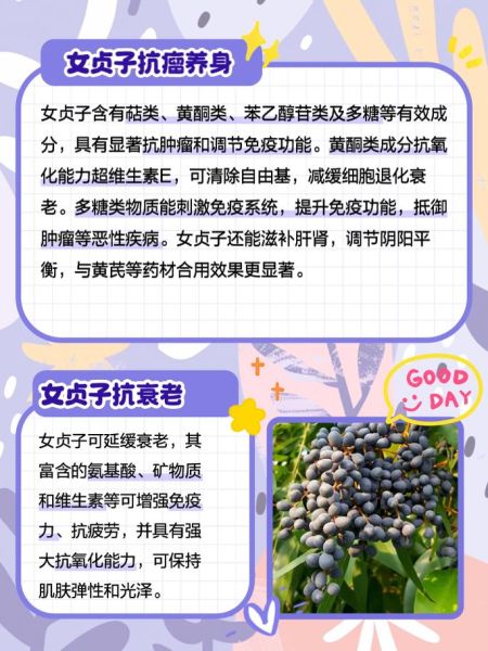 女贞子功效与作用_女贞子主治什么病-第1张图片-山城妙识