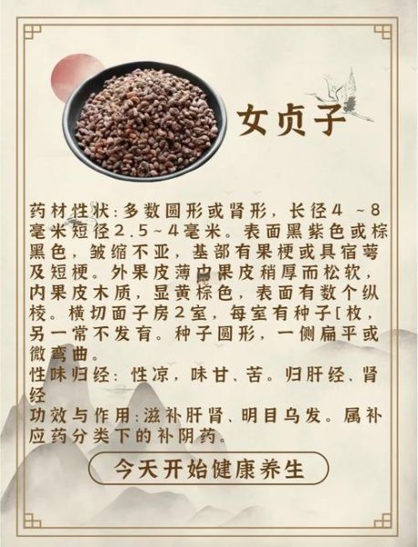 女贞子功效与作用_女贞子主治什么病-第3张图片-山城妙识