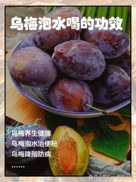 药用乌梅与普通乌梅的区别_如何辨别真假乌梅-第3张图片-山城妙识