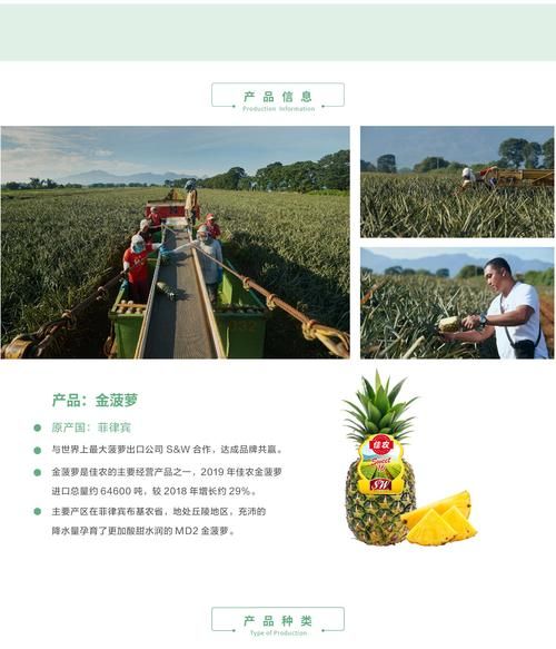 菠萝app下载入口免费_安全吗-第2张图片-山城妙识