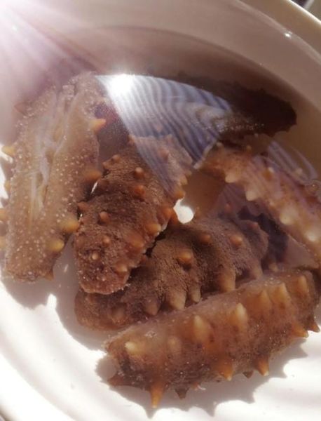蹄筋烧海参怎么做_海参烧蹄筋的家常做法-第3张图片-山城妙识