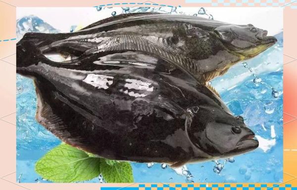 鸦片鱼和多宝鱼哪个贵_价格差多少-第3张图片-山城妙识