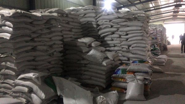 冰草种子多少钱一斤_冰草种子价格行情-第3张图片-山城妙识