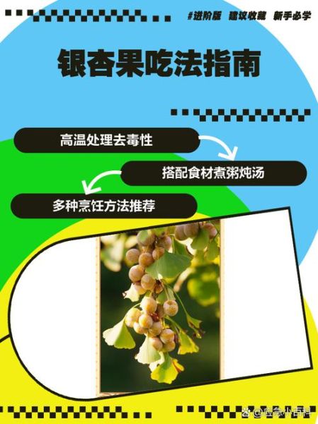 白果有毒为什么还要吃_如何安全食用银杏果-第1张图片-山城妙识