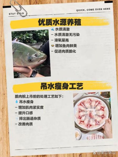 脆肉鲩养殖技术_脆肉鲩养殖成本利润分析-第1张图片-山城妙识