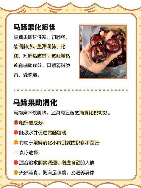 马蹄水果怎么吃_马蹄水果的功效与作用-第1张图片-山城妙识 马蹄水果怎么吃_马蹄水果的功效与作用-第1张图片-山城妙识