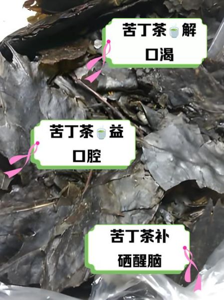 苦丁茶什么人不能喝_苦丁茶禁忌人群有哪些-第3张图片-山城妙识