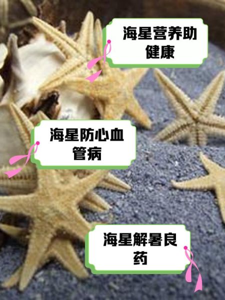 海星的功效与作用_海星的禁忌有哪些-第1张图片-山城妙识