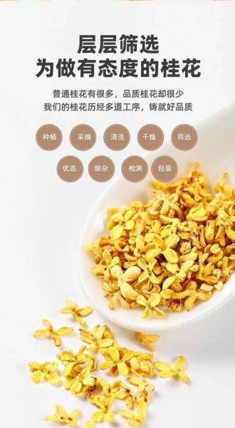 自制干桂花茶怎么做_干桂花茶保存多久-第3张图片-山城妙识