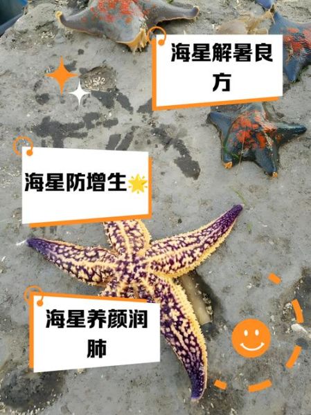 海星的功效与作用_海星的禁忌有哪些-第2张图片-山城妙识