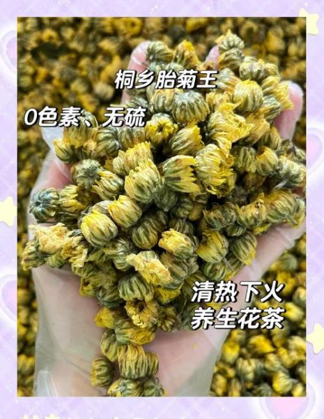 经期能喝菊花茶吗_经期喝菊花茶好吗-第1张图片-山城妙识