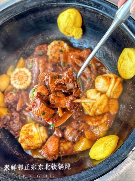 东北铁锅炖大鹅怎么做_正宗铁锅炖大鹅配方-第3张图片-山城妙识