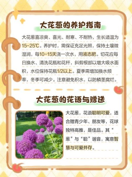 葱花秀秀是什么_葱花秀秀怎么用-第1张图片-山城妙识