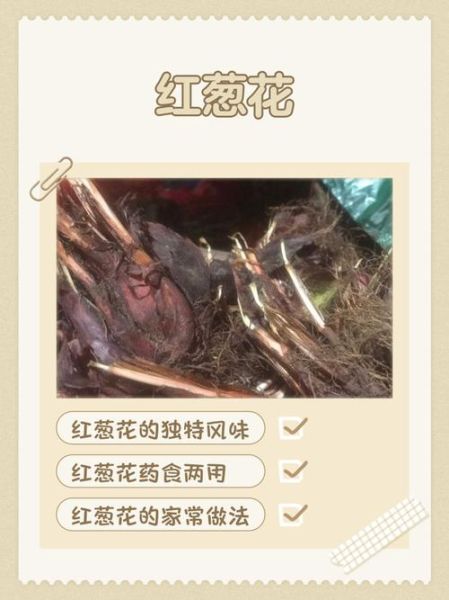 葱花秀秀是什么_葱花秀秀怎么用-第3张图片-山城妙识