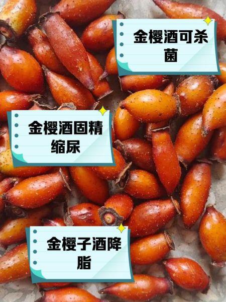 金樱子泡酒补肾方_金樱子泡酒怎么泡效果最好-第1张图片-山城妙识 金樱子泡酒补肾方_金樱子泡酒怎么泡效果最好-第1张图片-山城妙识