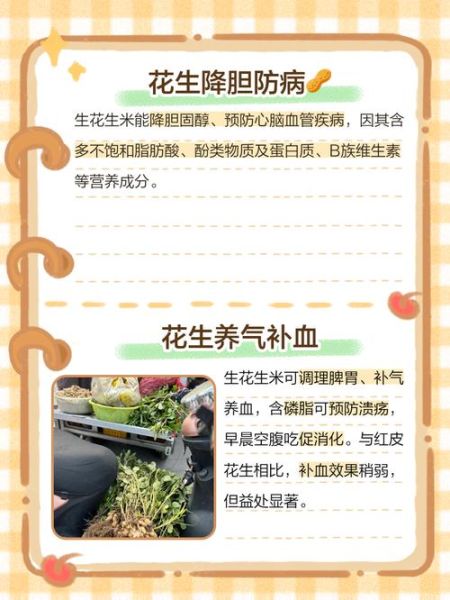 吃生花生米的好处和坏处_每天吃多少合适-第2张图片-山城妙识