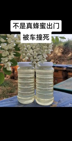 洋槐蜜多少钱一斤_正宗洋槐蜜价格行情-第3张图片-山城妙识