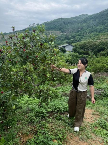 杨梅什么时候成熟_杨梅几月份采摘最好-第2张图片-山城妙识
