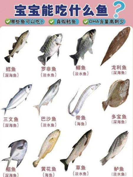 鱼刺少的鱼有哪些_适合宝宝吃的无刺鱼推荐-第3张图片-山城妙识 鱼刺少的鱼有哪些_适合宝宝吃的无刺鱼推荐-第3张图片-山城妙识