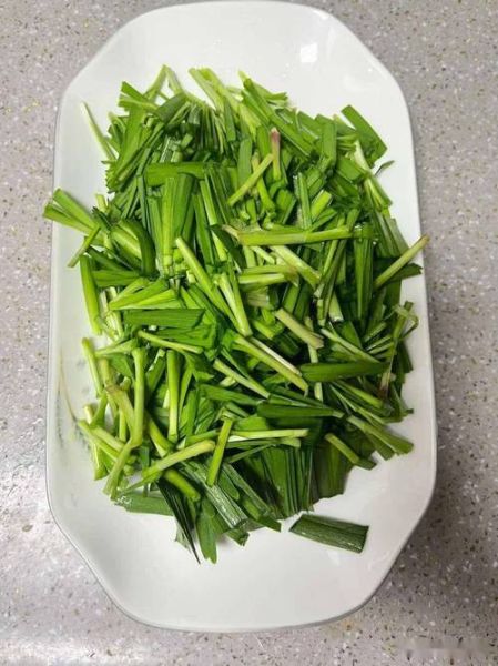 补肾菜有哪些菜_肾虚吃什么菜最好-第1张图片-山城妙识 补肾菜有哪些菜_肾虚吃什么菜最好-第1张图片-山城妙识