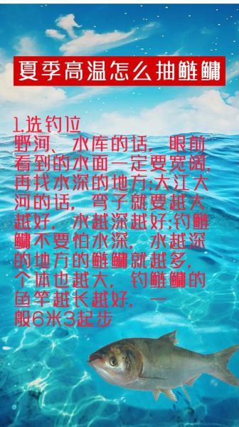 鳙鱼怎么钓_鳙鱼钓法技巧-第1张图片-山城妙识 鳙鱼怎么钓_鳙鱼钓法技巧-第1张图片-山城妙识