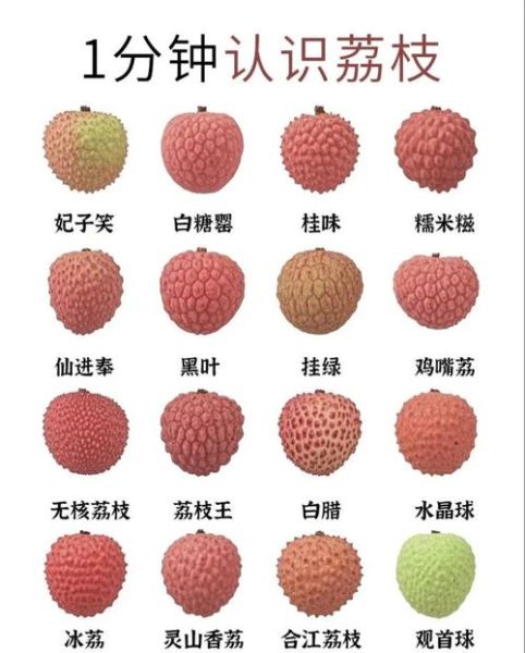荔枝种类排名_哪种荔枝最好吃-第3张图片-山城妙识