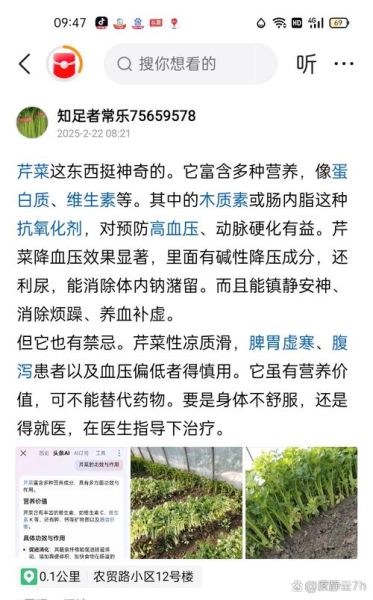 香芹降血压吗_香芹怎么吃最营养-第3张图片-山城妙识 香芹降血压吗_香芹怎么吃最营养-第3张图片-山城妙识