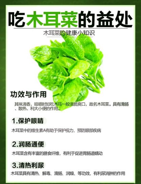 木耳菜不能和什么一起吃_木耳菜哪些人不能吃-第2张图片-山城妙识