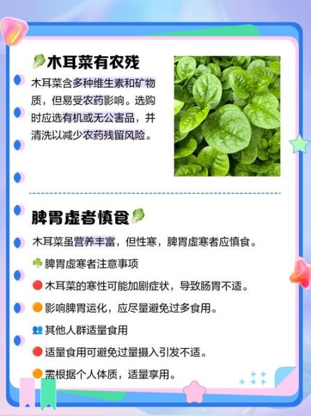 木耳菜不能和什么一起吃_木耳菜哪些人不能吃-第3张图片-山城妙识