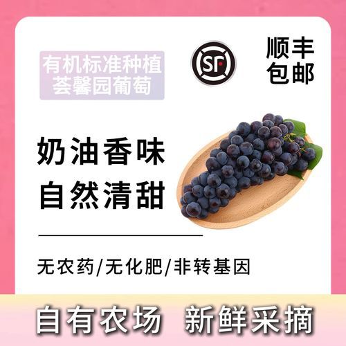 黑提葡萄的功效与作用_黑提葡萄能减肥吗-第1张图片-山城妙识