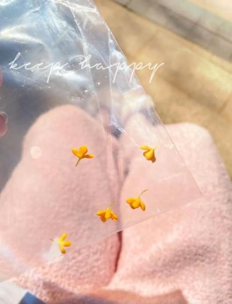 鲜桂花怎么处理成干桂花_家庭烘干技巧-第3张图片-山城妙识