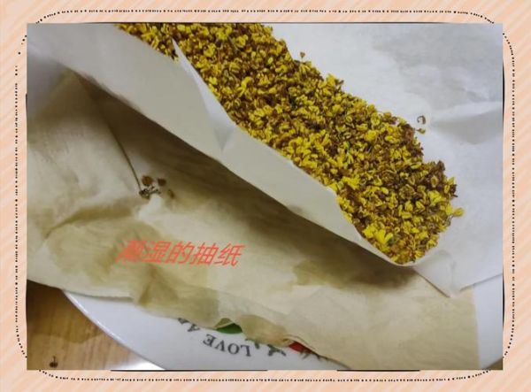 鲜桂花怎么处理成干桂花_家庭烘干技巧-第2张图片-山城妙识