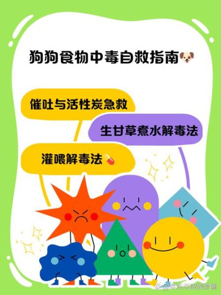 食物中毒自救方法_食物中毒怎么办-第3张图片-山城妙识 食物中毒自救方法_食物中毒怎么办-第3张图片-山城妙识