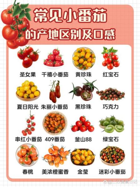西红柿图片大全_西红柿品种图片怎么区分-第1张图片-山城妙识