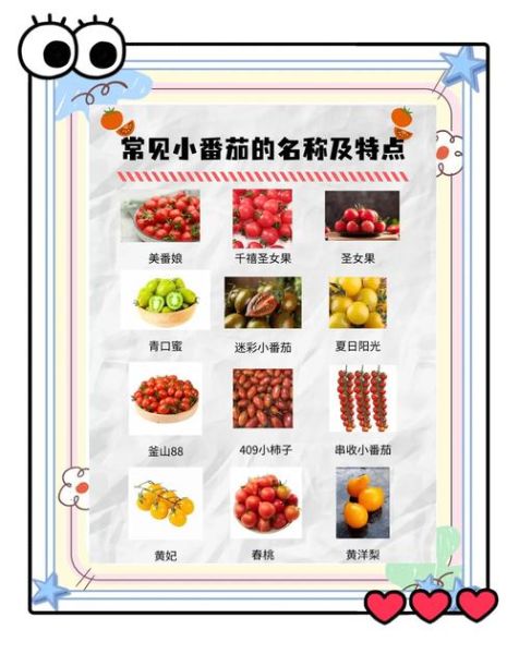 西红柿图片大全_西红柿品种图片怎么区分-第3张图片-山城妙识