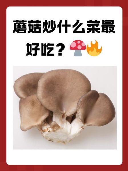 蘑菇菜谱大全做法_蘑菇怎么做好吃-第3张图片-山城妙识 蘑菇菜谱大全做法_蘑菇怎么做好吃-第3张图片-山城妙识