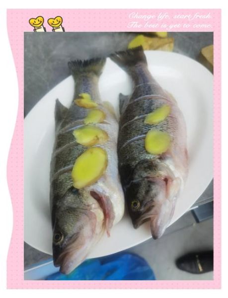 花雕鱼和鲈鱼哪个好吃_口感营养大比拼-第1张图片-山城妙识