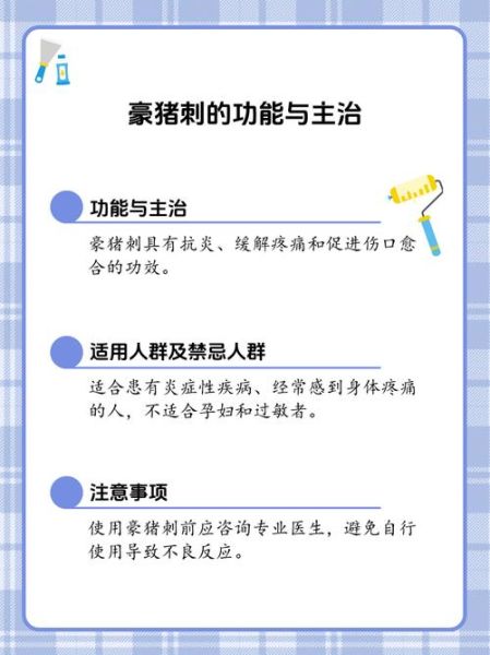 豪猪刺有什么药用价值_豪猪刺能治疗哪些疾病-第2张图片-山城妙识