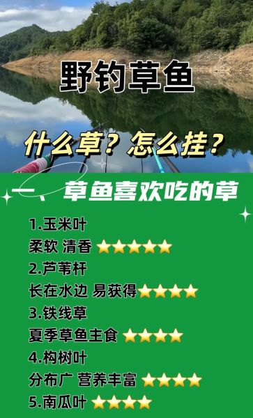 草鱼喜欢吃什么饵料_草鱼饵料配方大全-第3张图片-山城妙识