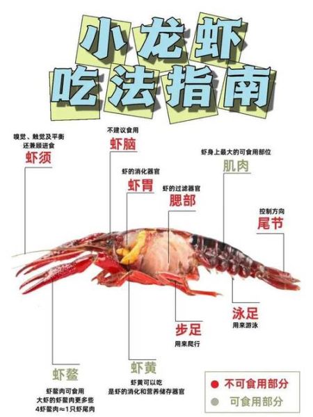 大龙虾头部哪些不能吃_图解部位详解-第2张图片-山城妙识