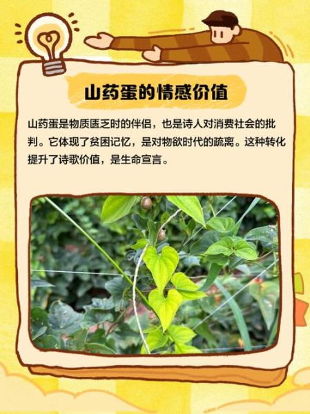 山药蛋派代表作品有哪些_山药蛋派文学特色是什么-第3张图片-山城妙识 山药蛋派代表作品有哪些_山药蛋派文学特色是什么-第3张图片-山城妙识