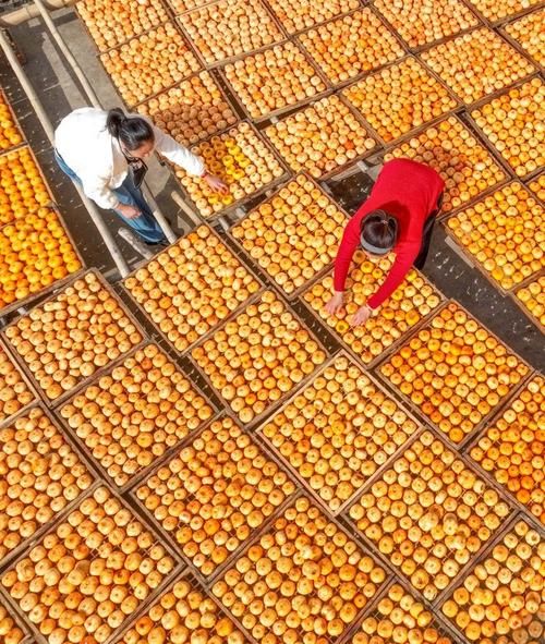 柿饼怎么晒_柿饼制作全过程-第1张图片-山城妙识 柿饼怎么晒_柿饼制作全过程-第1张图片-山城妙识