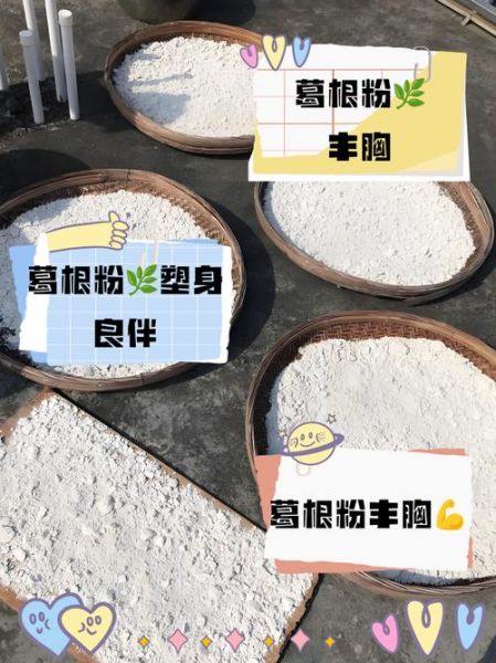 葛根搭配什么丰胸最快_葛根丰胸多久见效-第1张图片-山城妙识