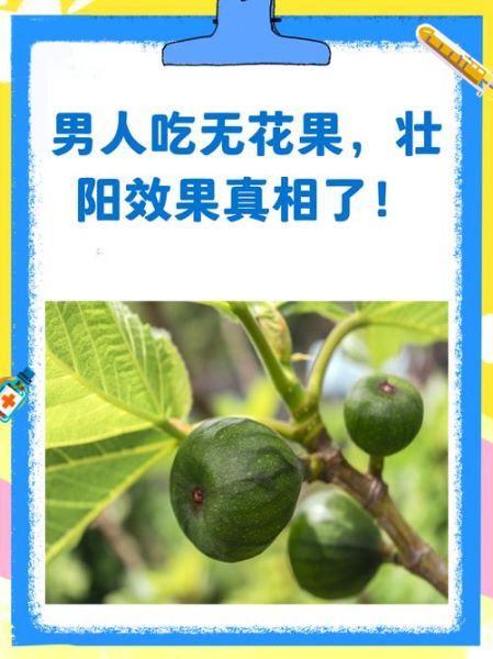 无花果对男性性功能好吗_无花果男人吃了壮阳吗-第2张图片-山城妙识 无花果对男性性功能好吗_无花果男人吃了壮阳吗-第2张图片-山城妙识