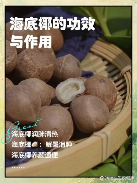 海底椰是寒性还是热性_海底椰适合什么人吃-第1张图片-山城妙识